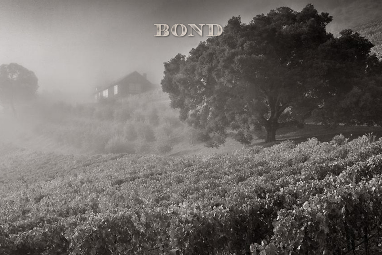 ⁠BOND