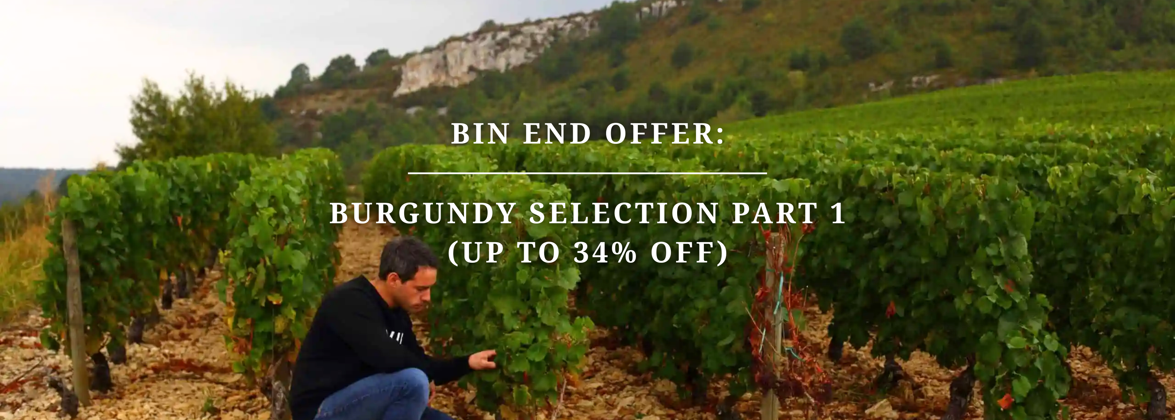 Altaya Wines - All About Fine Wines